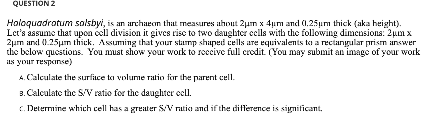 Solved QUESTION 2 Haloquadratum salsbyi, is an archaeon that | Chegg.com