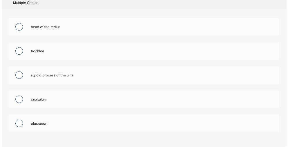 Solved Which structure is highlighted? Multiple Choice head | Chegg.com