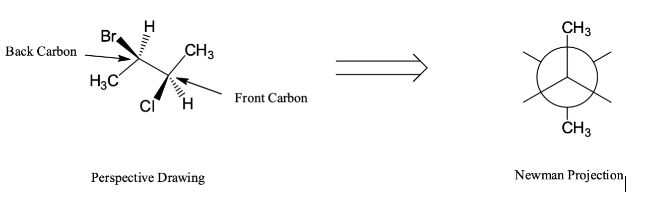 Solved 1. Complete the Newman projection from the | Chegg.com