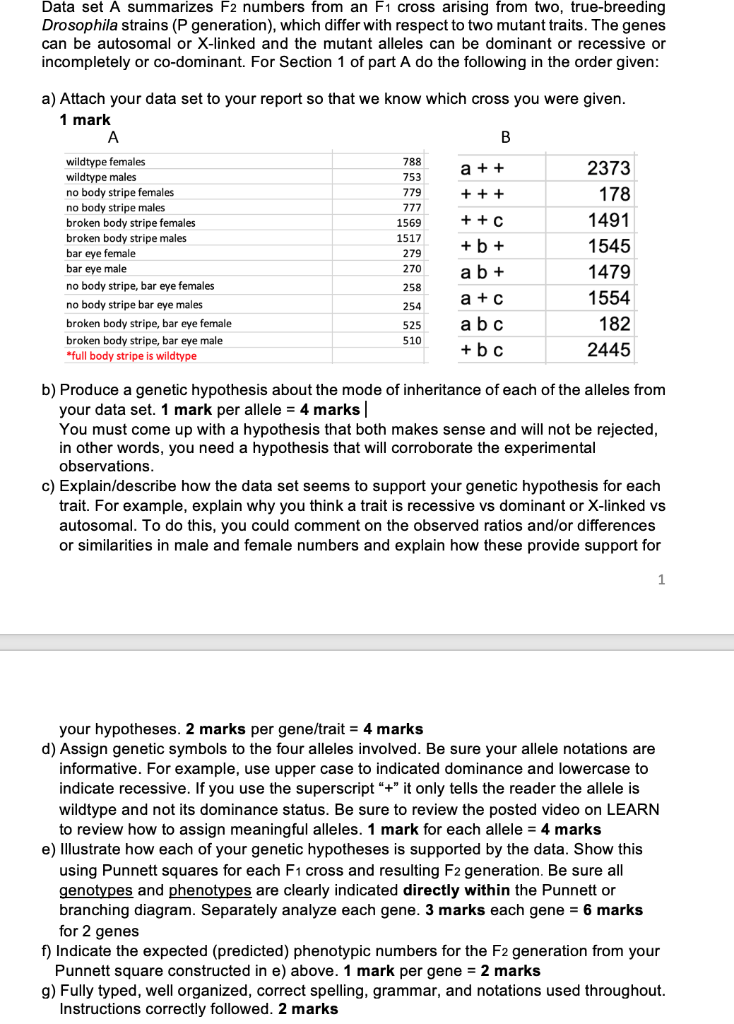 Solved Data set A summarizes F2 numbers from an F1 cross | Chegg.com