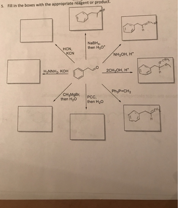 Solved 5. Fill in the boxes with the appropriate reagent or | Chegg.com