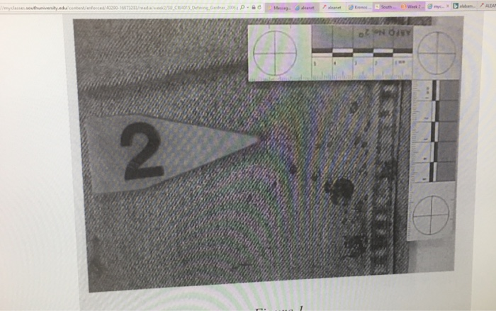 Bloodstain Analysis Defining the | Chegg.com