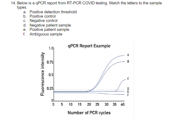 Solved 14. Below is a qPCR report from RT-PCR COVID testing. | Chegg.com