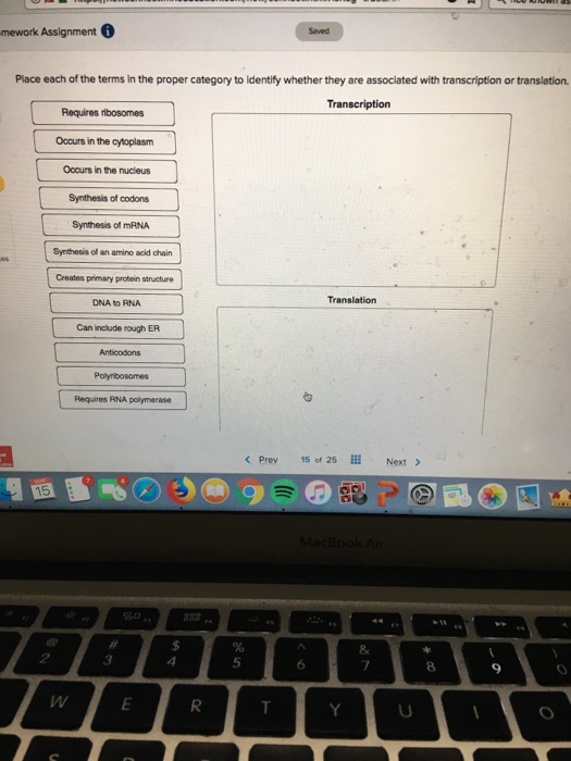Solved mework Assignment Place each of the terms in the | Chegg.com