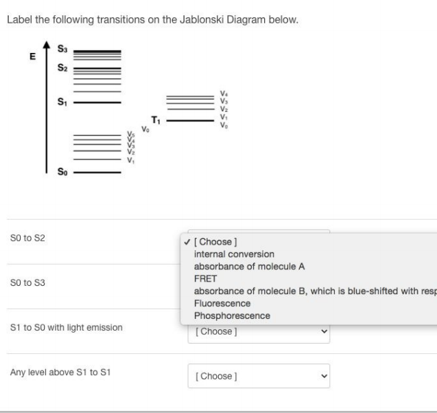 Solved Label the following transitions on the Jablonski | Chegg.com