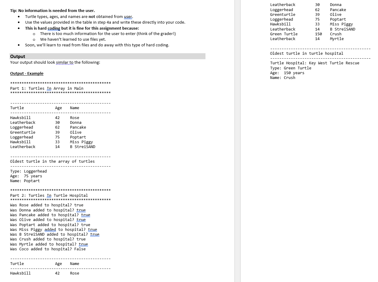 Solved i. Create one Turtle Hospital object Assignment | Chegg.com