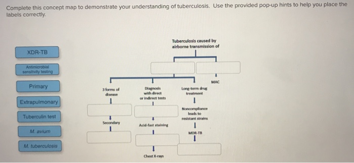 Solved Complete this concept map to demonstrate your | Chegg.com
