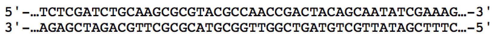 Solved The following is a partial gene sequence that encodes | Chegg.com