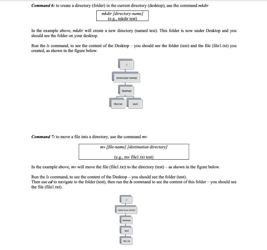 Solved As We Discussed In The File Systems Chapter A File 