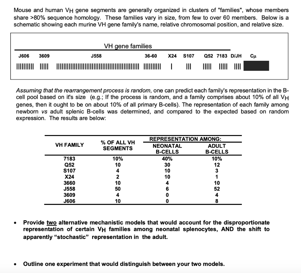 Solved Mouse and human VH gene segments are generally | Chegg.com