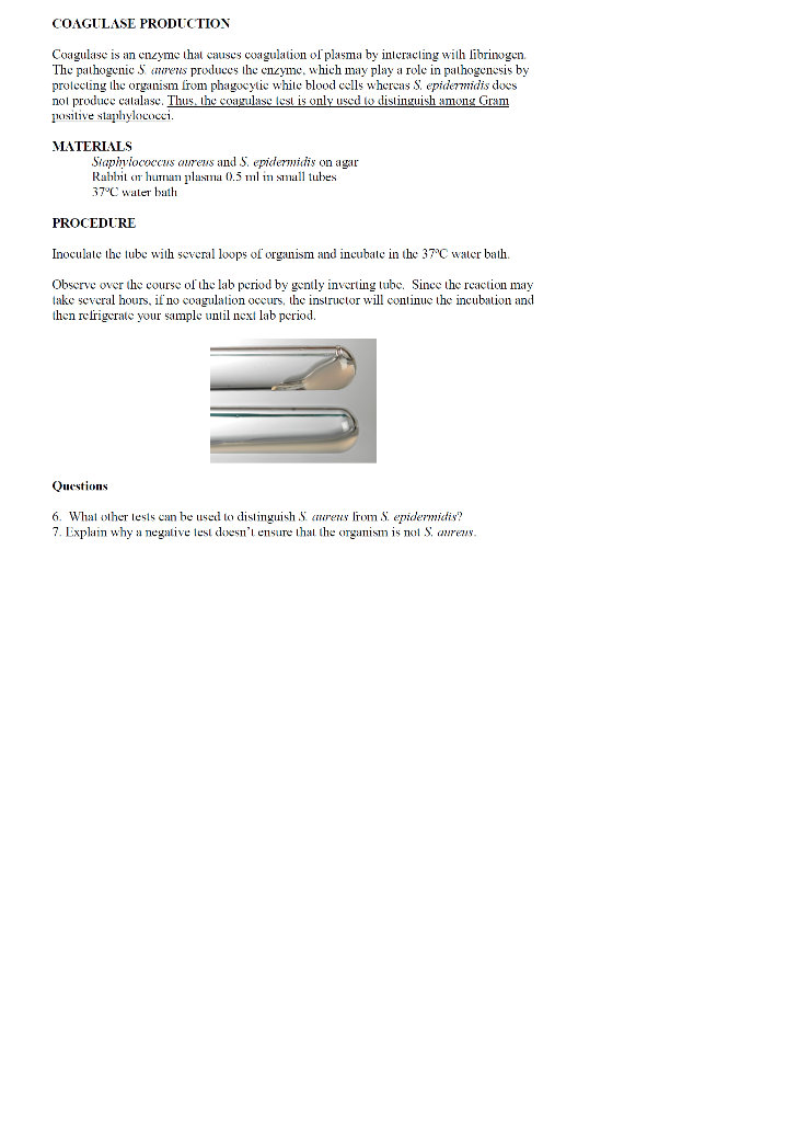 Solved COAGULASE PRODUCTION Coagulase is an enzyme that | Chegg.com