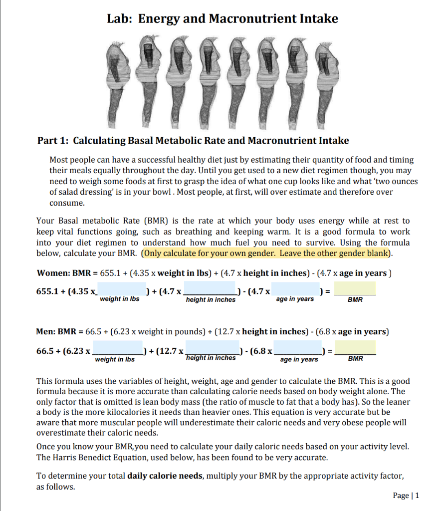 Solved Lab: Energy and Macronutrient Intake Part 1: | Chegg.com