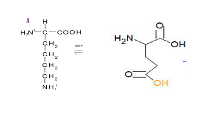 Solved Determine the isoelectric point of Lysine and | Chegg.com