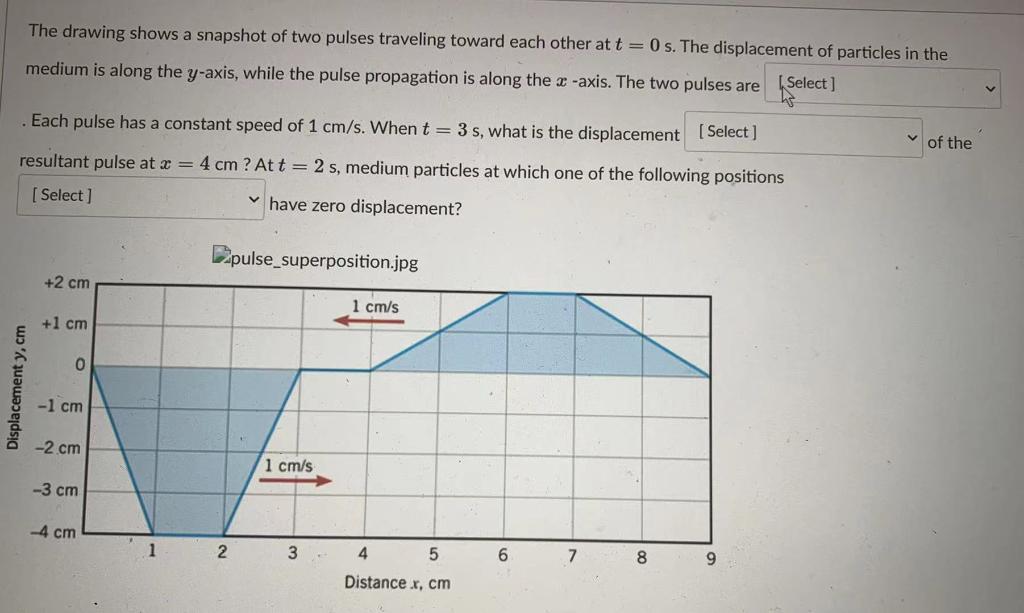 Solved The choice for the first box is transverse and | Chegg.com