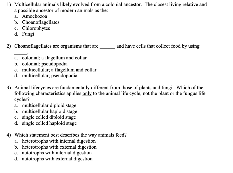 Solved 1) Multicellular animals likely evolved from a | Chegg.com