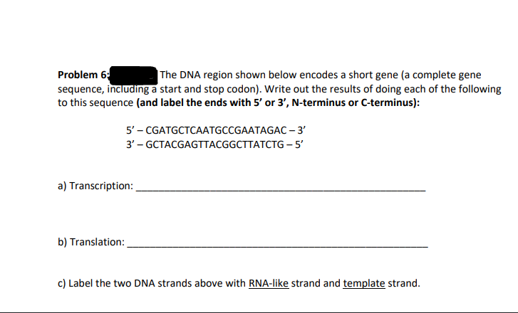 Solved Problem 6: The DNA region shown below encodes a short | Chegg.com