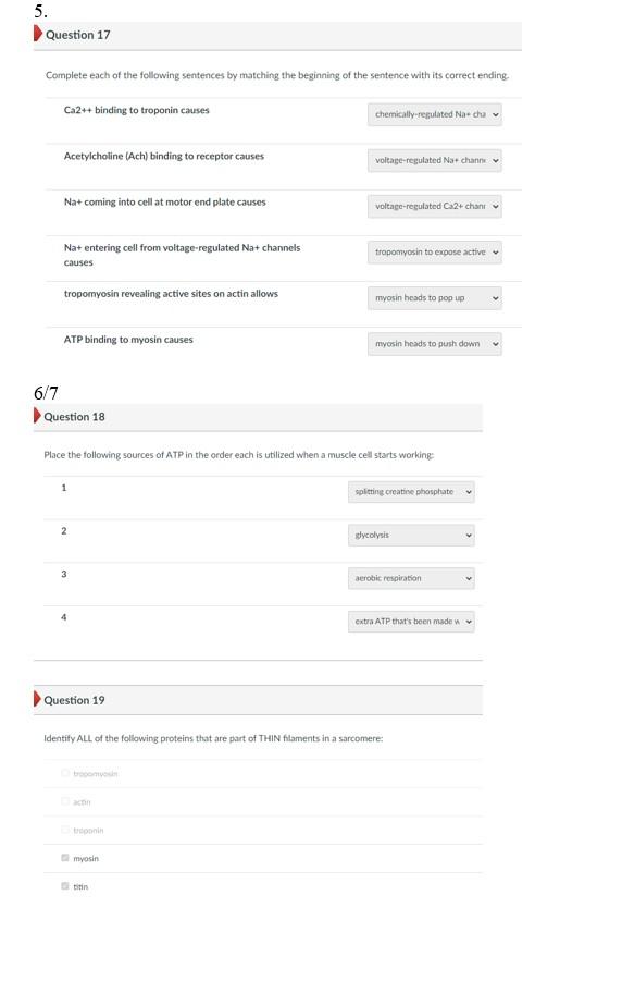 Solved Complete each of the following sentences by matching | Chegg.com