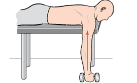 Solved What muscles are being used. What is the prime mover? | Chegg.com