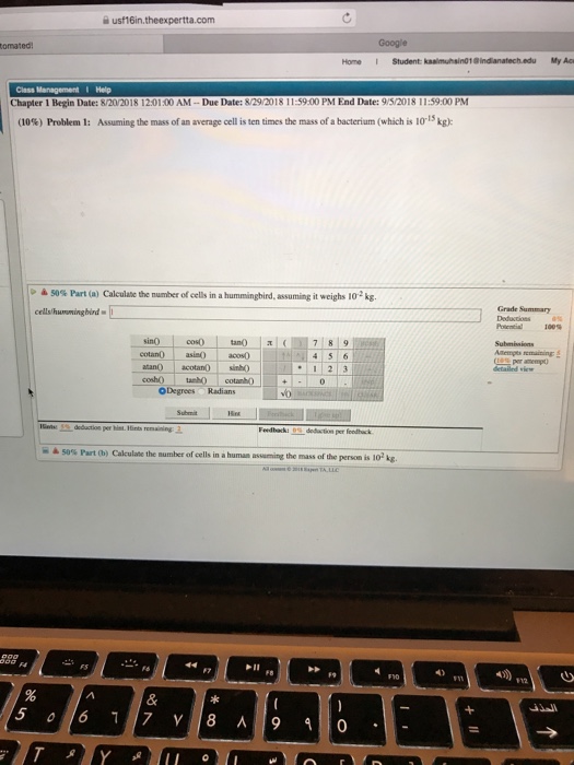Solved usf16in.theexpertta.com Google Home I Student: | Chegg.com