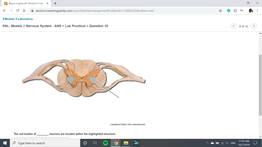 Solved: & Mastering Aand P: Module 9 Labu X + - X E → C O ... | Chegg.com