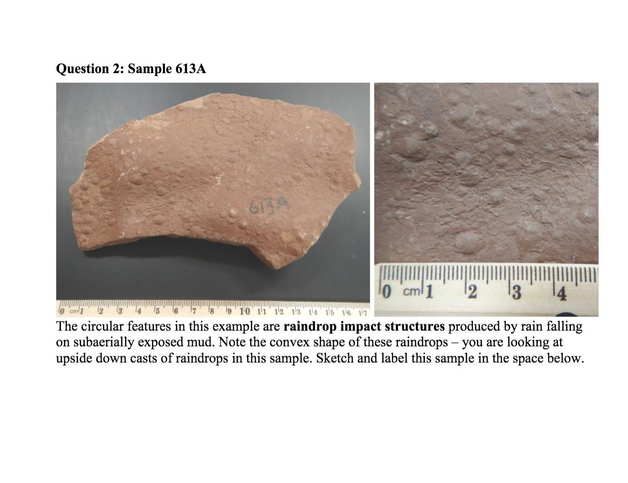 Solved Secondary Sedimentary Structures Question 1: Sample | Chegg.com