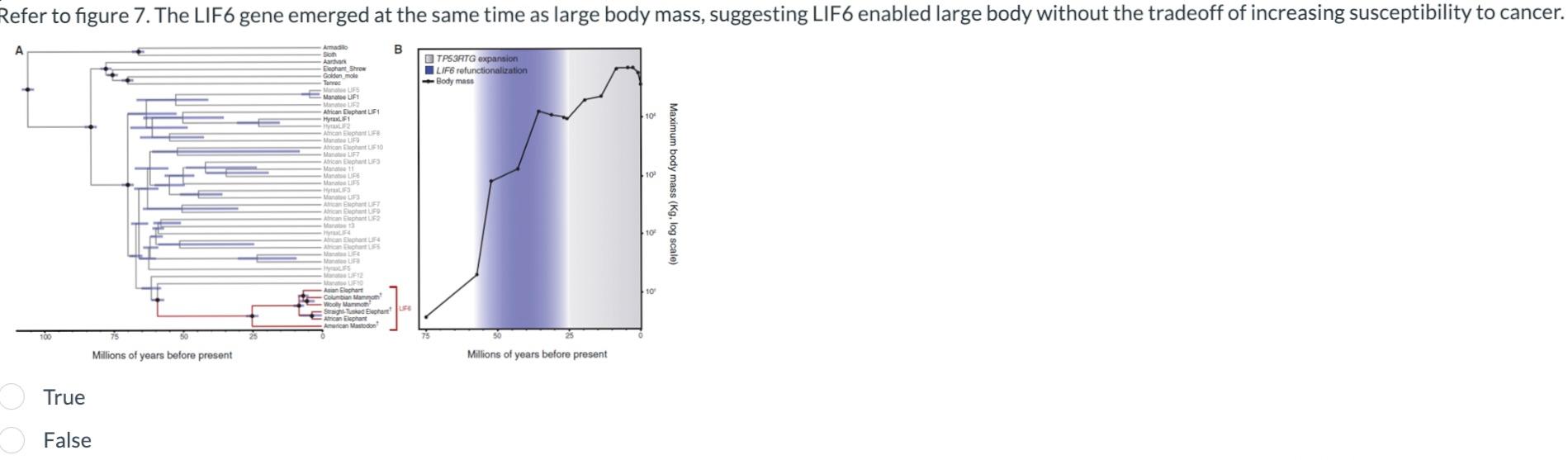 Solved True False | Chegg.com