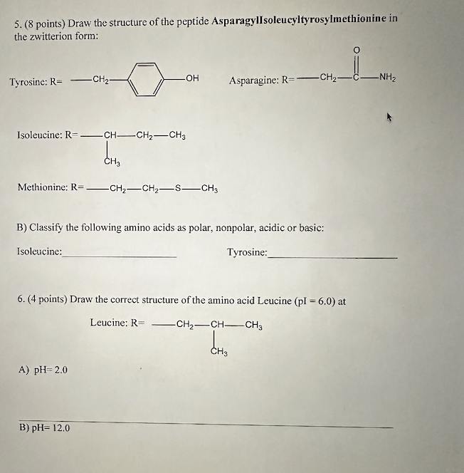 Solved 5. ( 8 points) Draw the structure of the peptide | Chegg.com