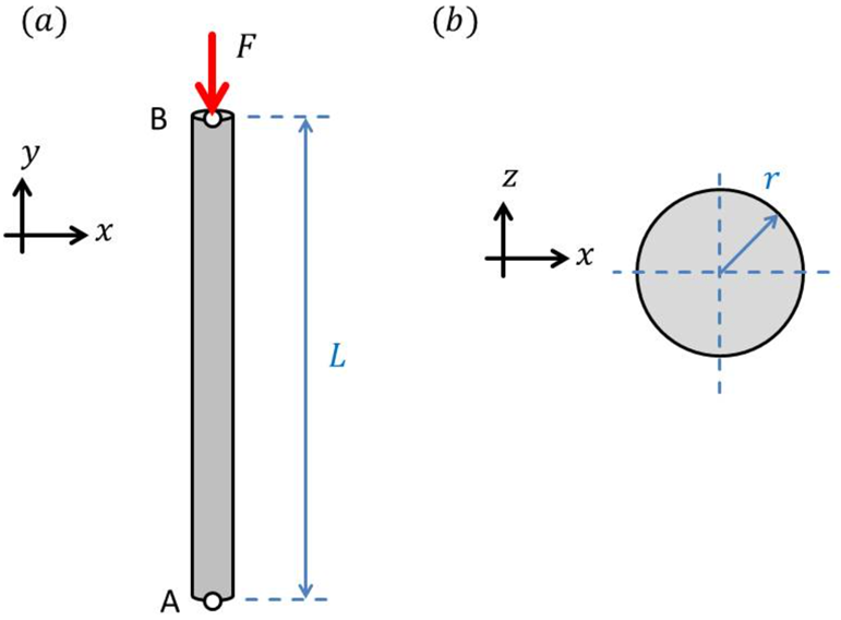 Solved Figure (a) shows a slender beam, that is subject to a | Chegg.com