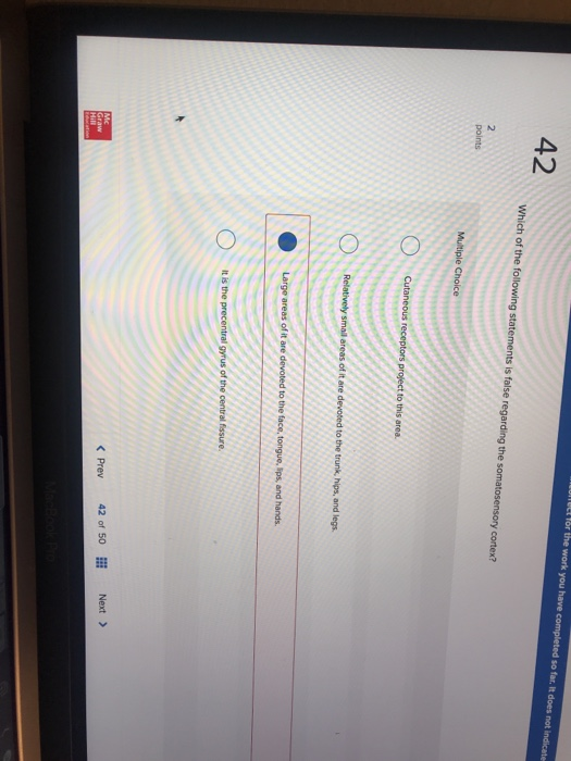 Solved mbde: This shows what is correct or incorrect for the | Chegg.com