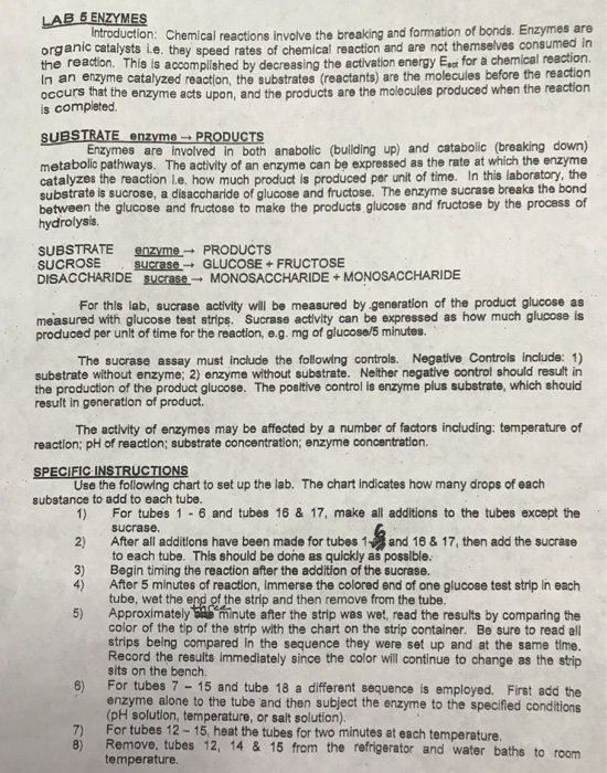 Solved LAB 5 ENZYMES Introduction: Chemical reactions | Chegg.com