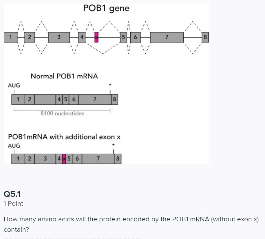 Solved A human gene (let's call it POB1) normally contains 8 | Chegg.com