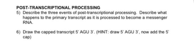 Solved POST-TRANSCRIPTIONAL PROCESSING 5) Describe the three | Chegg.com