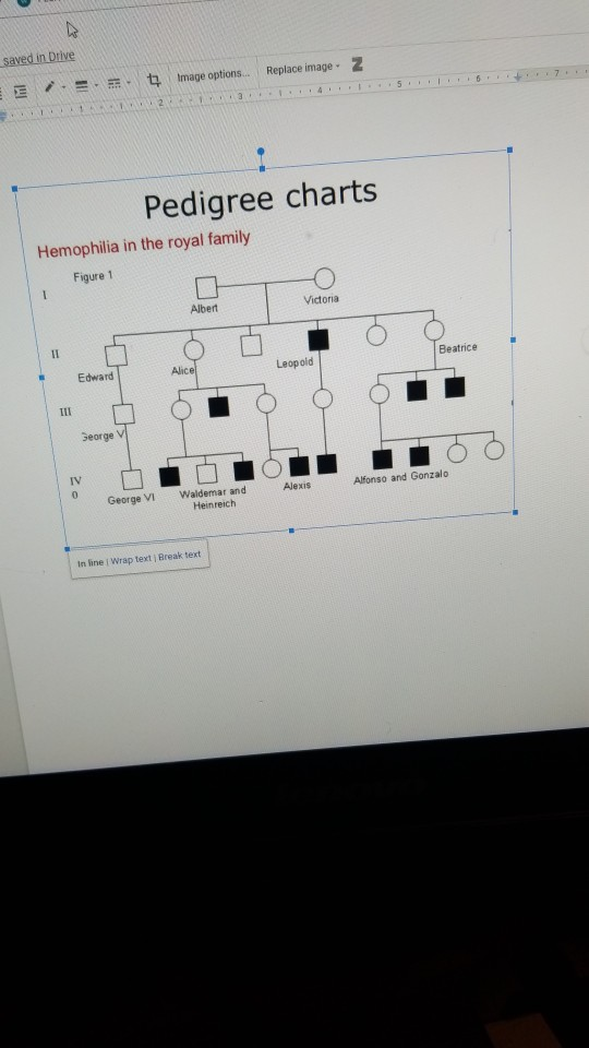 Solved saved in Drive Pedigree charts Hemophilia in the | Chegg.com