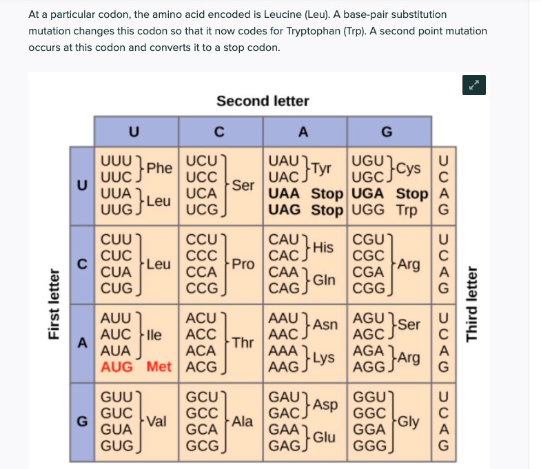 Solved At a particular codon, the amino acid encoded is | Chegg.com