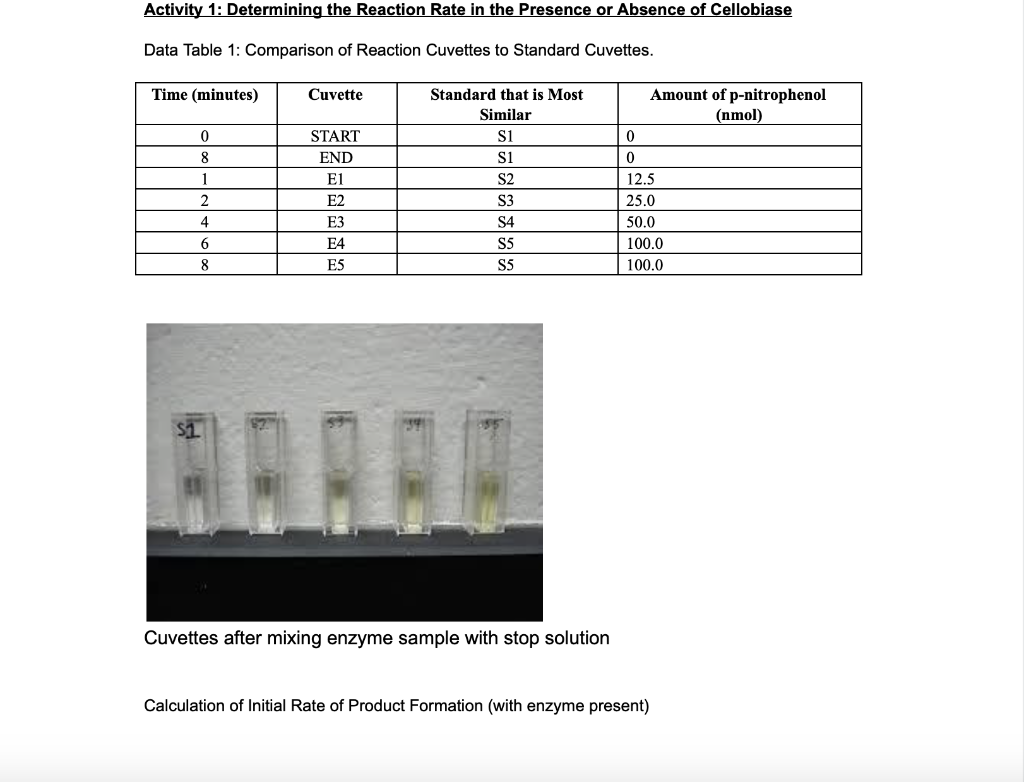 Solved Activity 1: Determining the Reaction Rate in the | Chegg.com