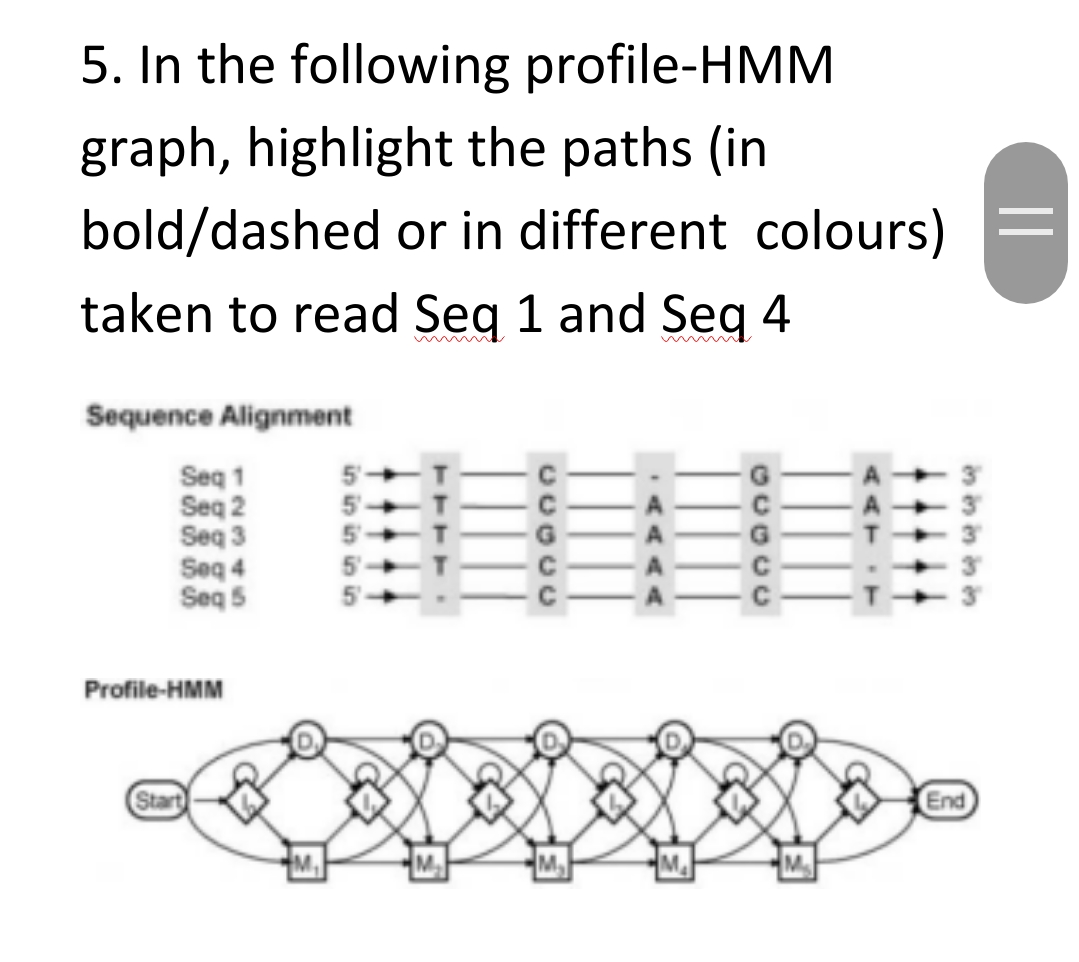 Solved In ﻿the following profile-HMMgraph, highlight the | Chegg.com
