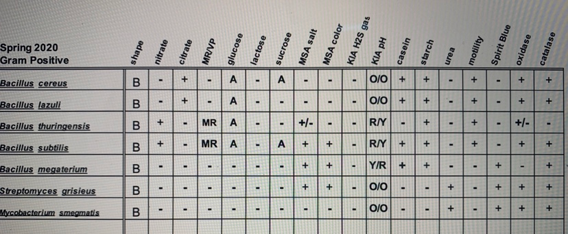 Solved Make a flow chart showing the most efficient path to | Chegg.com