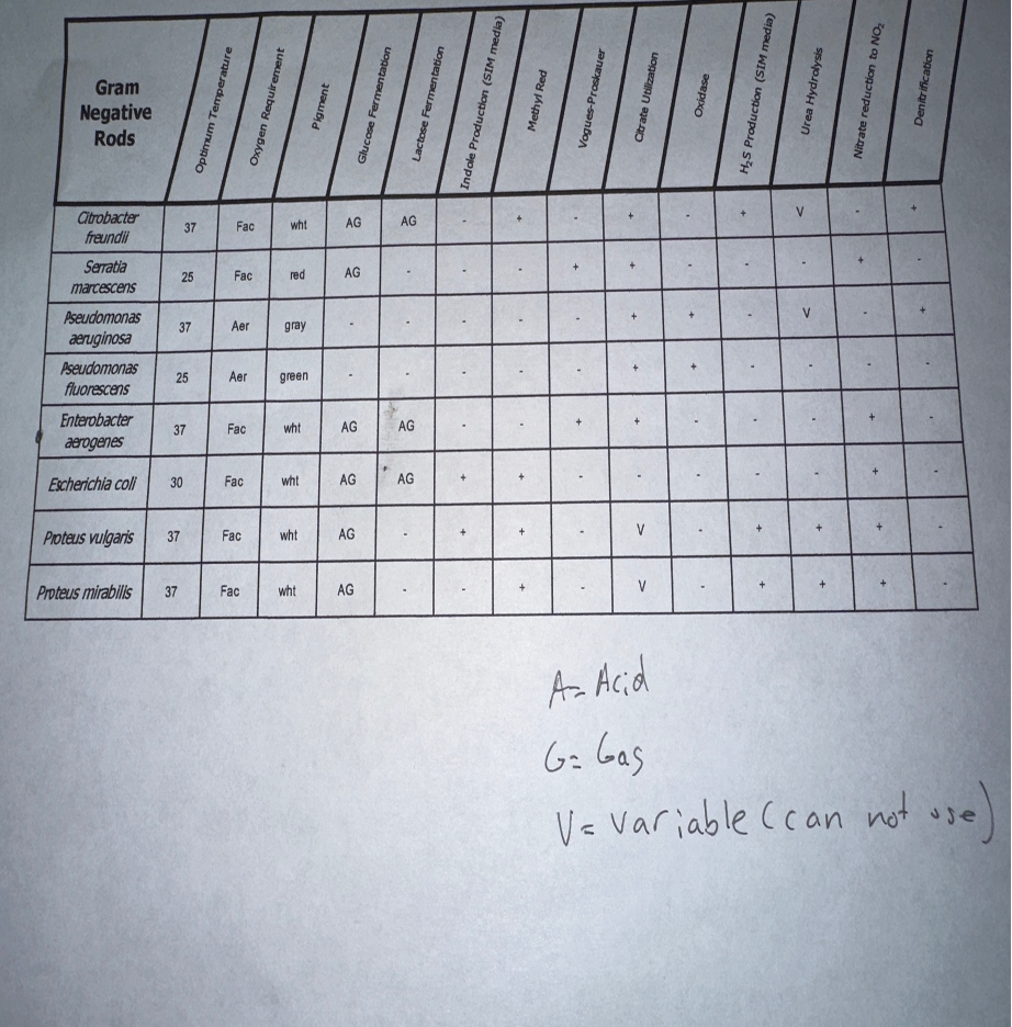 Solved Can you help me make a flow chart for Enterobacter | Chegg.com