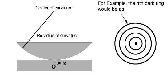 Solved The radius of a convex surface used for a Newton's | Chegg.com