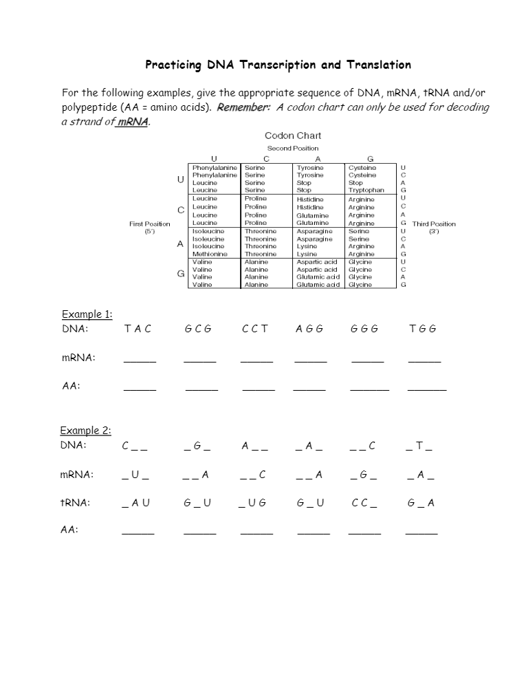 Solved Practicing DNA Transcription and Translation For the | Chegg.com