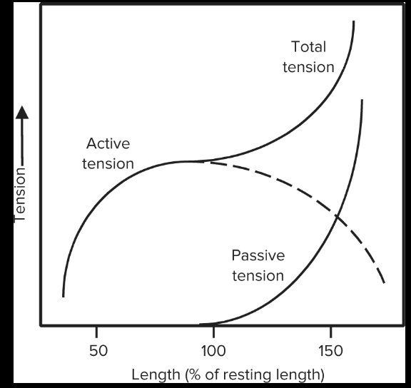 Solved Describe the active tension curve of the | Chegg.com