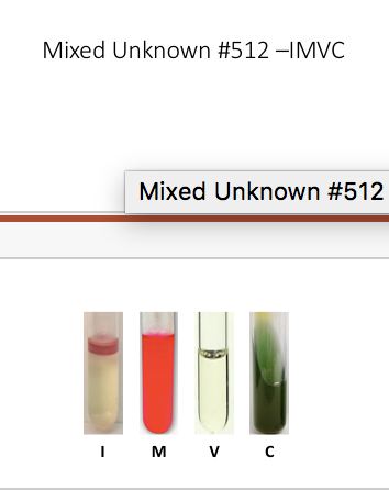 Solved Mixed Unknown Identification Form Unknown 'Patient | Chegg.com