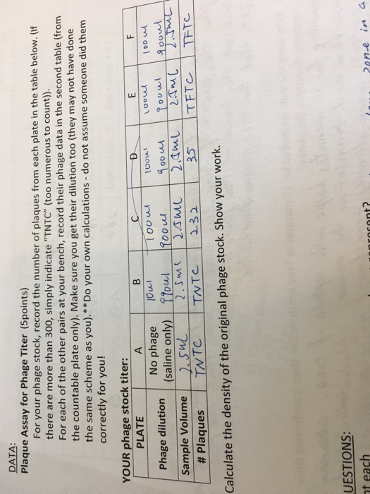 Solved DATA: Plaque Assay for Phage Titer (5points) For your | Chegg.com