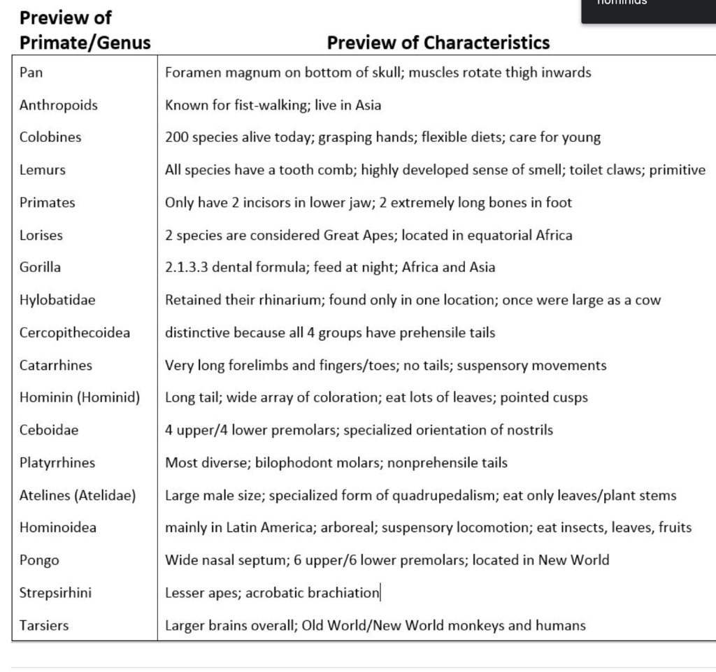 Preview of Primate/Genus Pan Anthropoids Colobines | Chegg.com