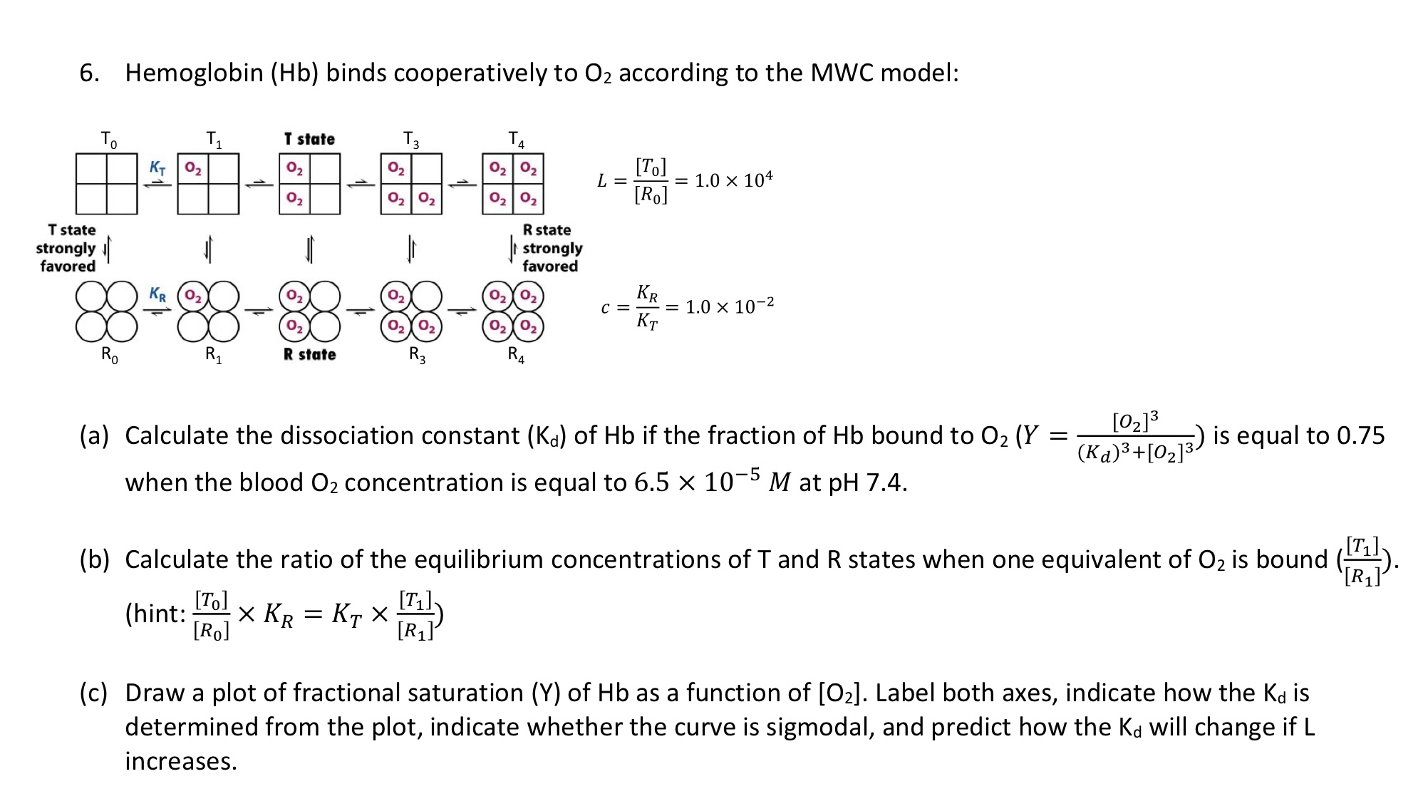 Solved 6. Hemoglobin ( Hb) binds cooperatively to O2 | Chegg.com