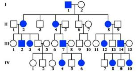 Solved A rare human disease afflicted a family as shown in | Chegg.com