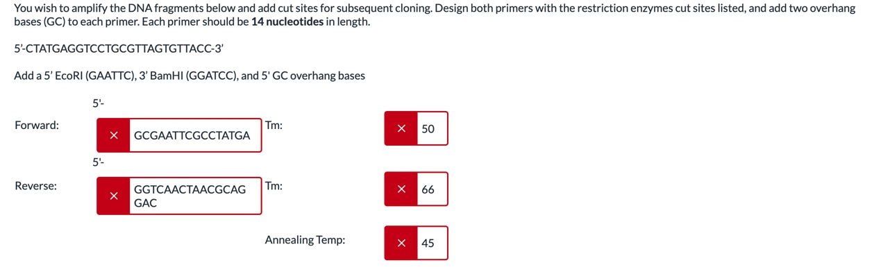 Solved You wish to amplify the DNA fragments below and add | Chegg.com