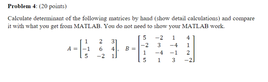 Solved Problem 4: (20 points) Calculate determinant of the | Chegg.com
