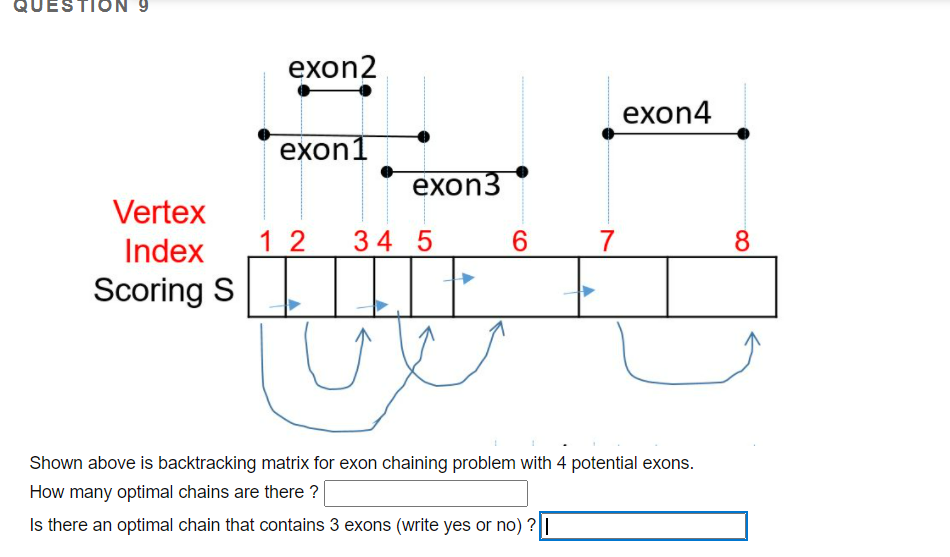 Solved QUESTION 9 exon2 exon4 exon1 exon3 1 2 3 4 5 6 7 8 | Chegg.com