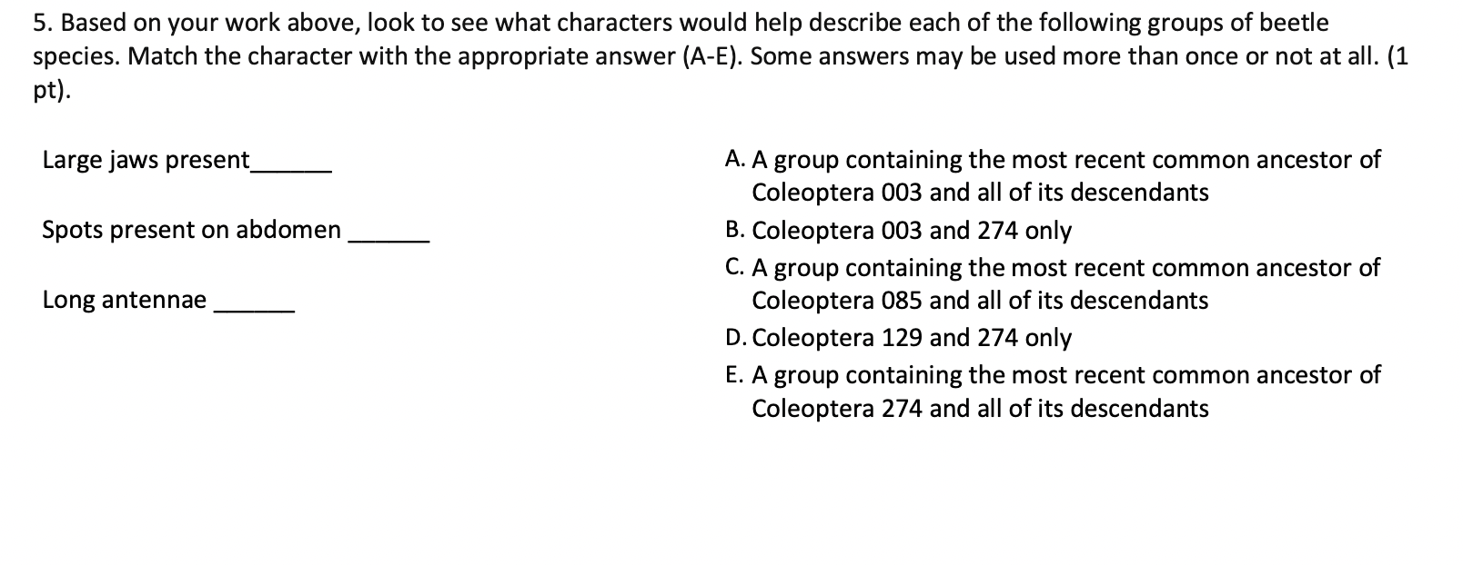 Solved You are performing a phylogenetic analysis on a group | Chegg.com